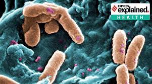 The challenge of Antimicrobial Resistance (AMR), and how to confront it ...