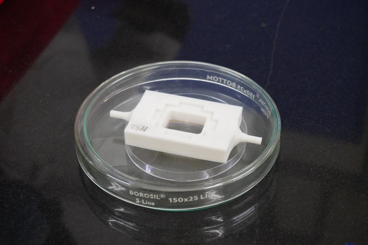 ‘Organ on a chip’: a tech which mimics disease systems in laboratory ...