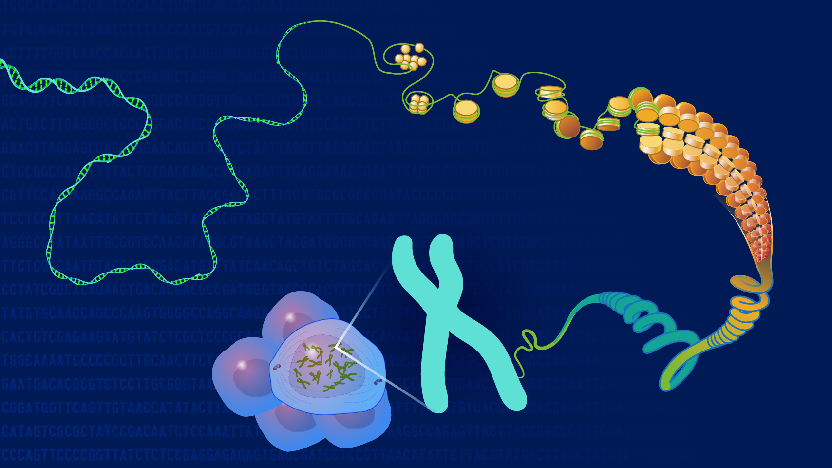 World’s first database of genomic variants of oral cancer