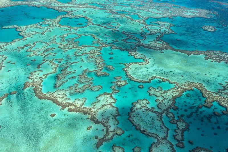 Australia avoids UNESCO downgrade of Great Barrier Reef