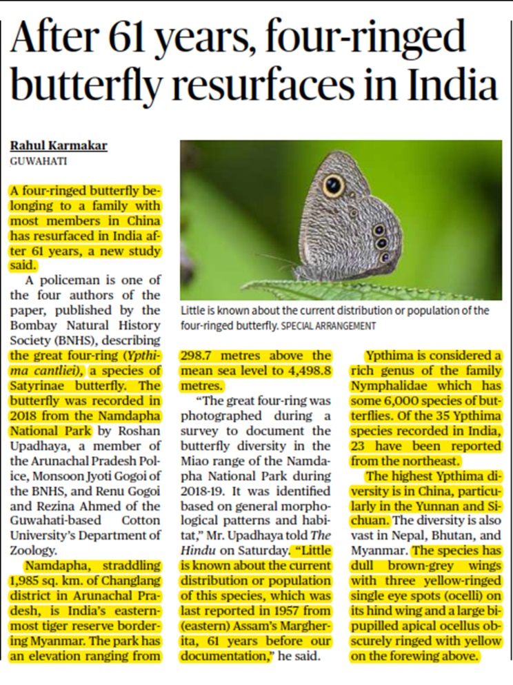 After 61 years, four-ringed butterfly resurfaces in India