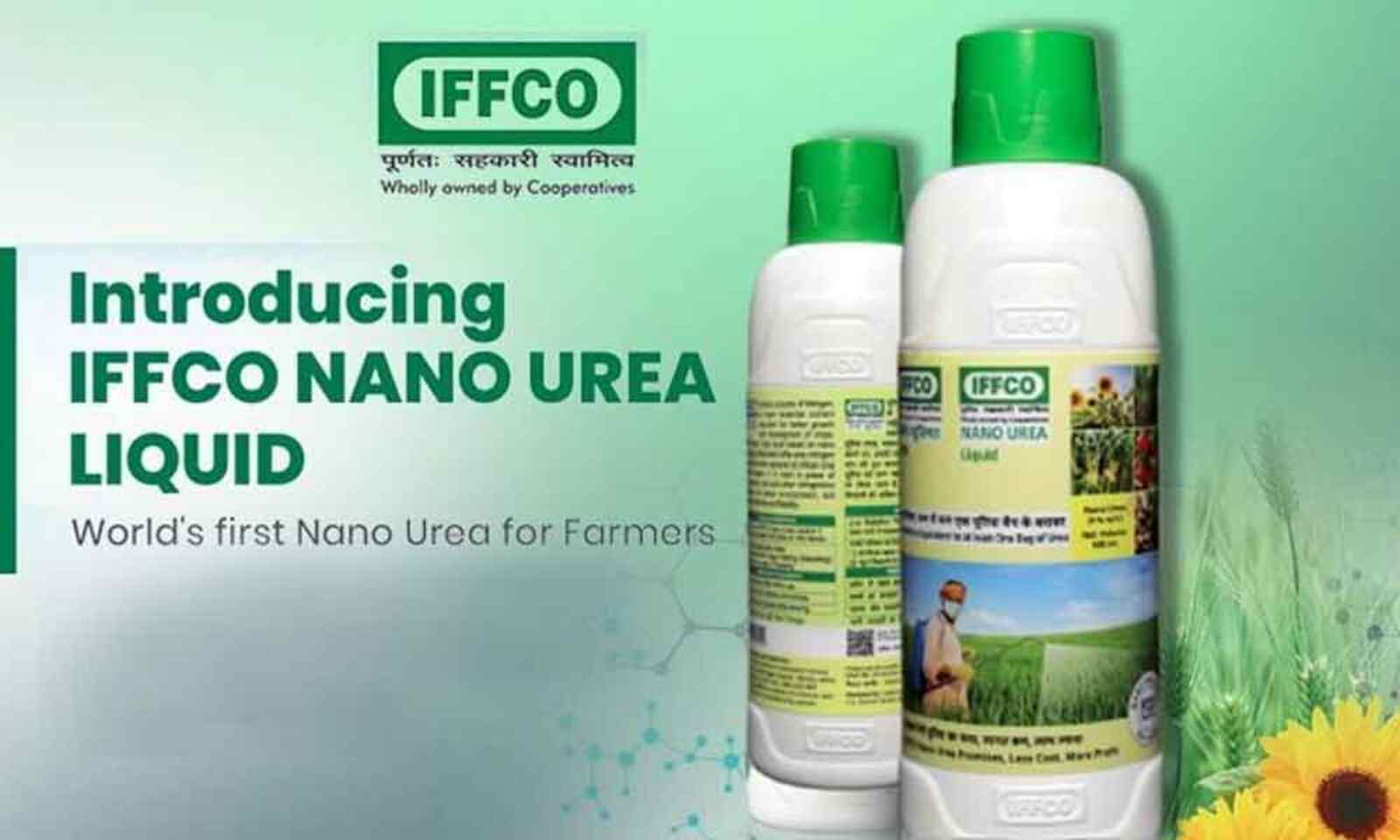 Nano fertilizers