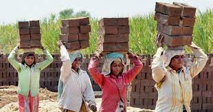 Counting rural women’s labour