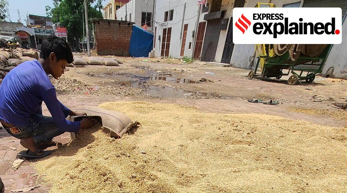 What is the massive grain storage plan the govt has unveiled, how it’ll ...