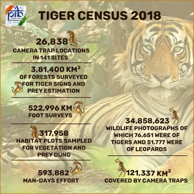 India's Tiger Population Growth and Conservation Efforts