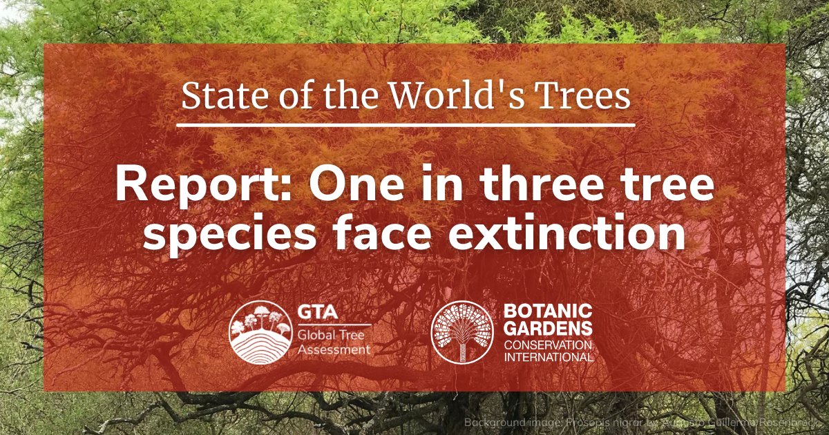 State of the World's Trees report