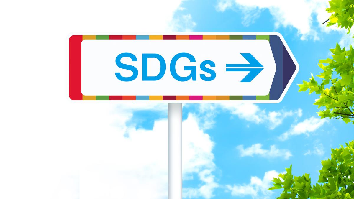 This is the year to get the SDG goals back on track