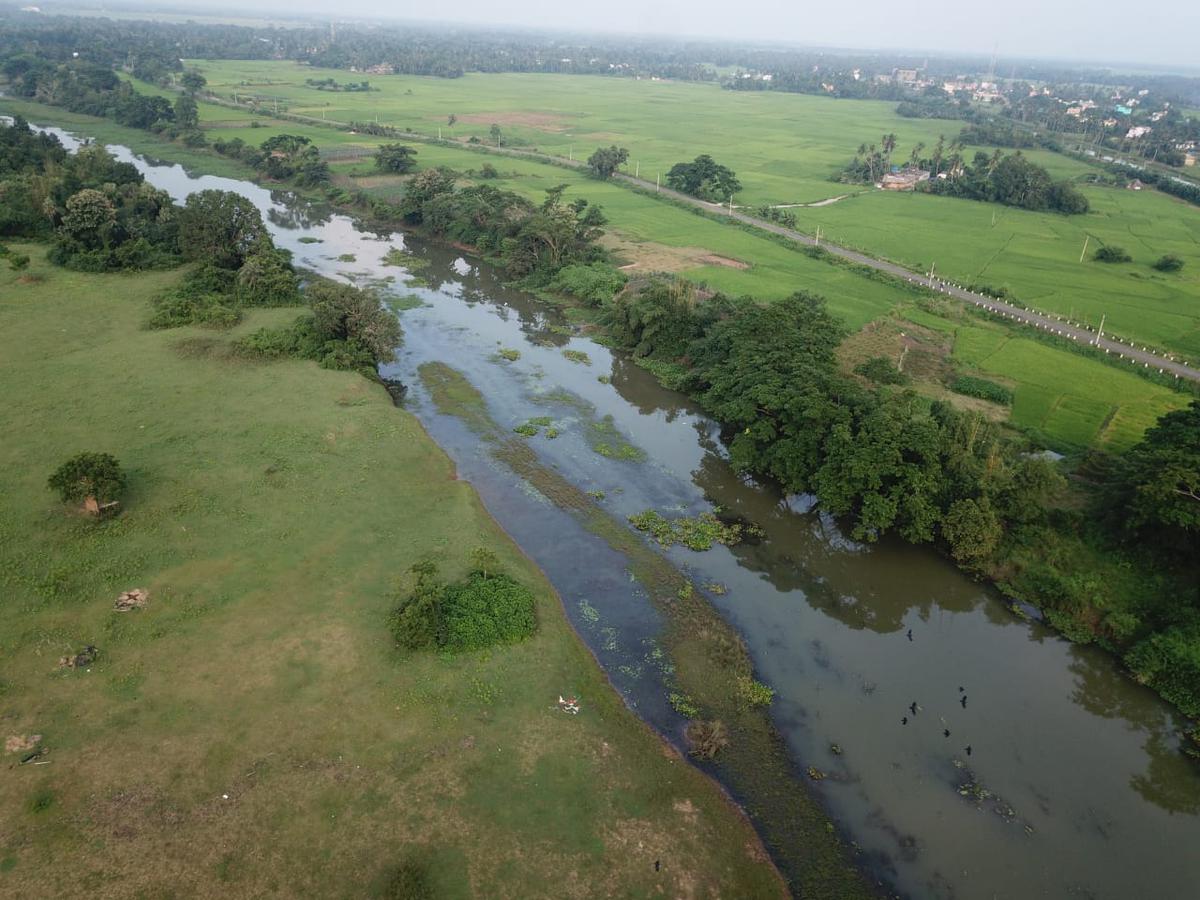 Rejuvenating a dead river in Odisha