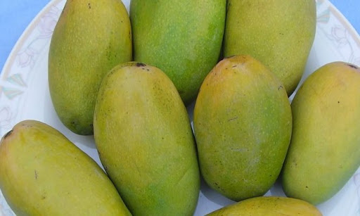 GI certified mango varieties exported to Bahrain