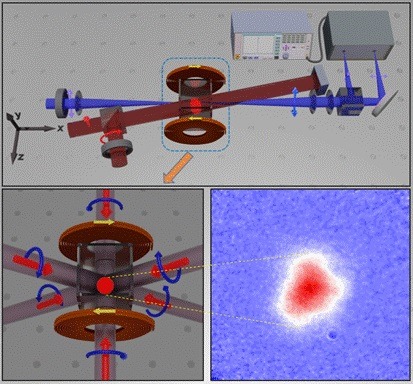 New technique to measure the Detection of spin coherence in cold atoms