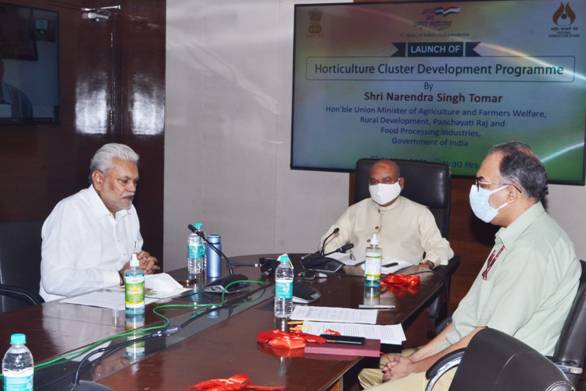 Horticulture Cluster Development Program