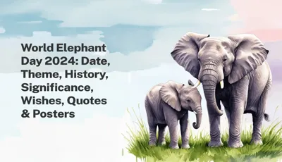 World Elephant Day: Raising Awareness for Elephant Conservation