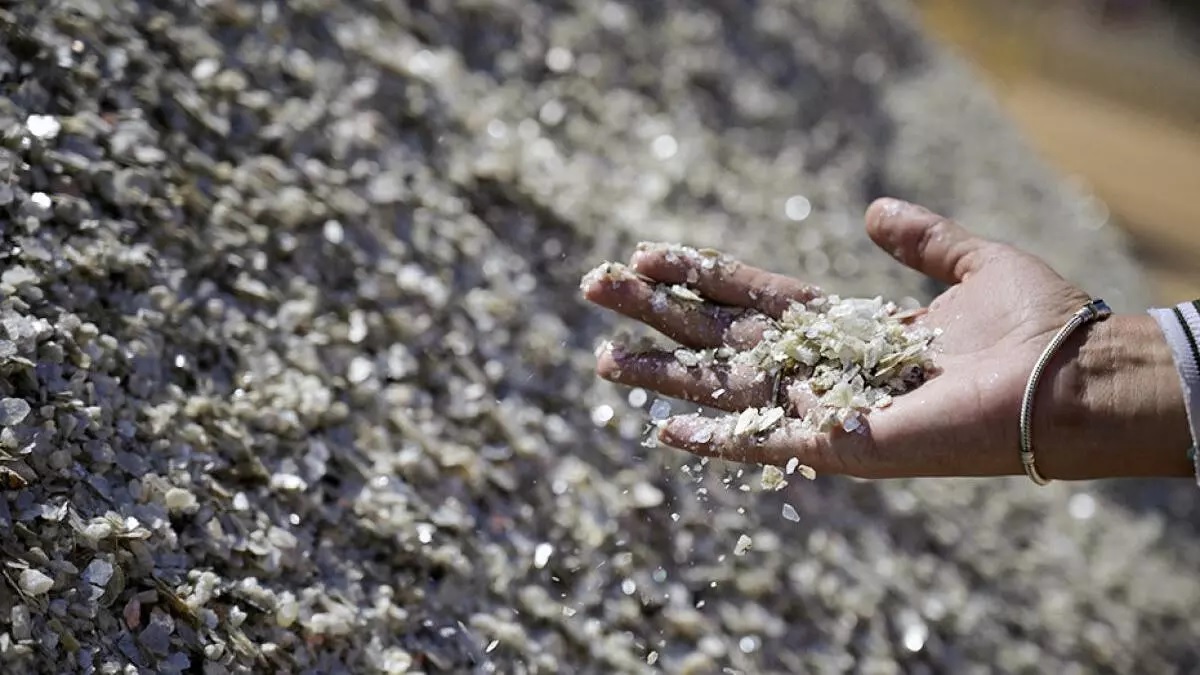 India eyes local allies to explore lithium blocks in Argentina