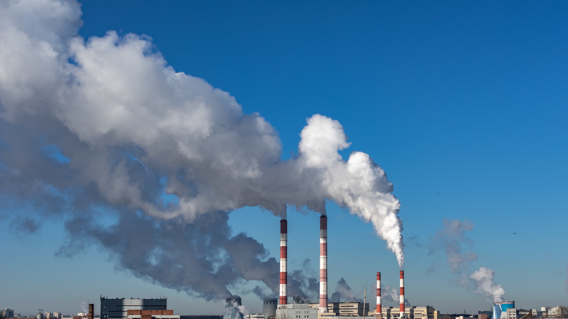 World must remove 1 billion tonnes CO2 by 2025