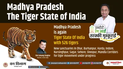 Why Madhya Pradesh is Known as the Tiger State of India