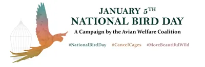 Understanding National Bird Day: Its Purpose and Importance