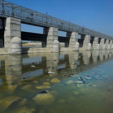 Conservationists to propose Kazhuveli watershed region in T.N. for ...