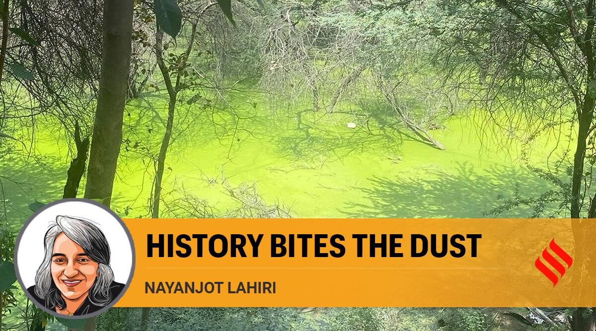 History bites the dust