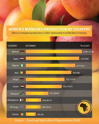 Top 10 Mango Producing Countries in the World (2024)