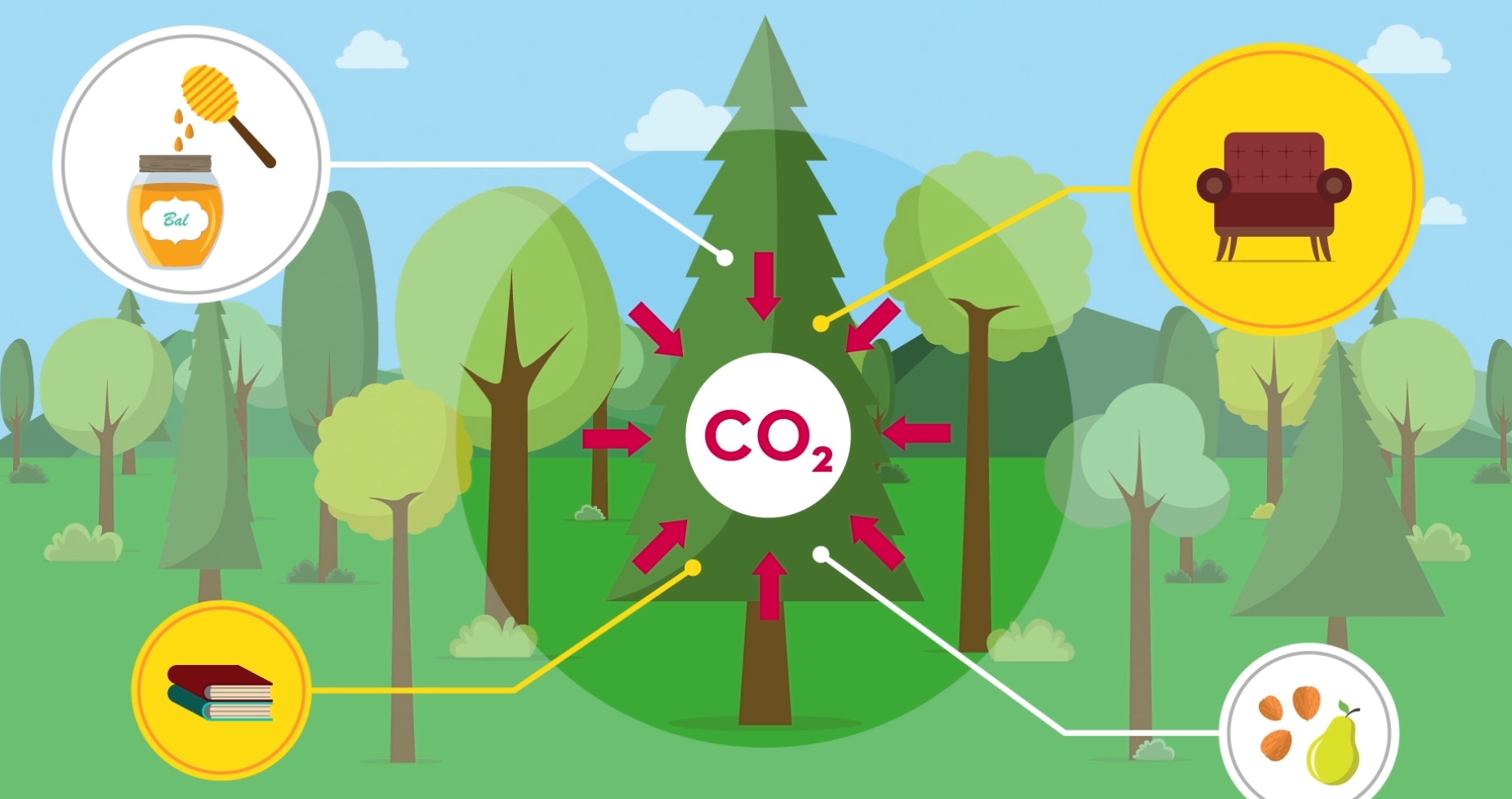 How Forest Certification works