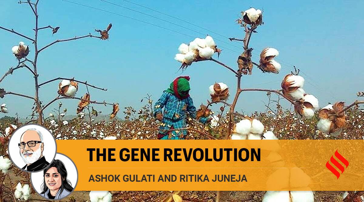 The gene revolution
